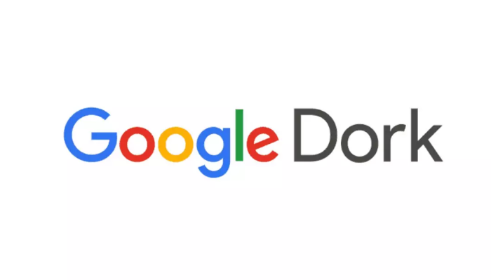 Google Dorking 2024: How It Works, Its Dangers, and Ways to Stay Safe ...